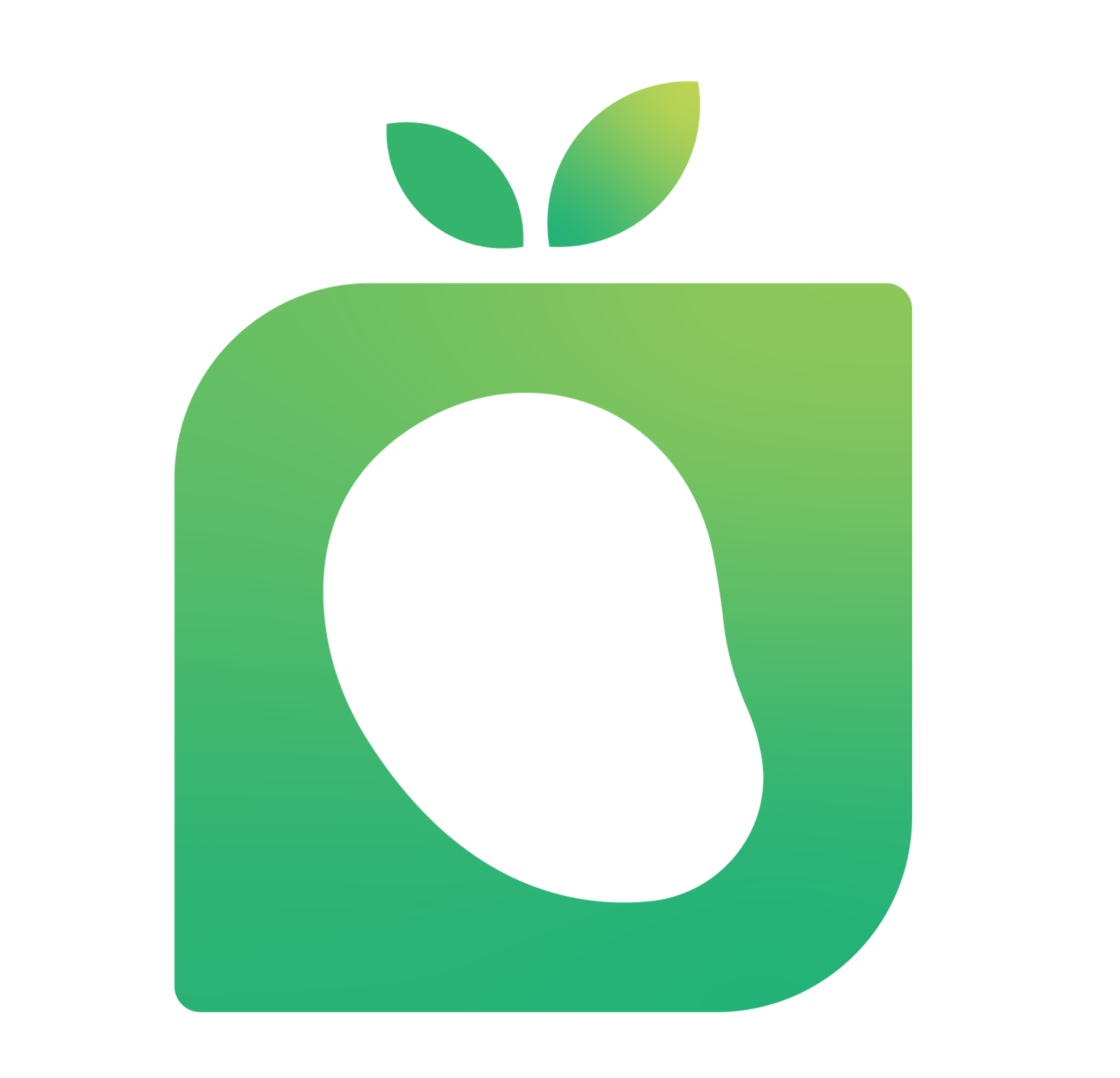 Kaccha Mango Private Limited – We Turn Raw Potential into Unforgettable ...